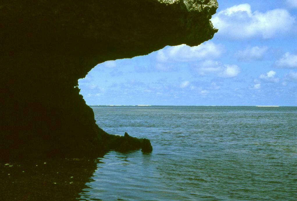 The beauty of Gendershe: - SomaliNet Forums